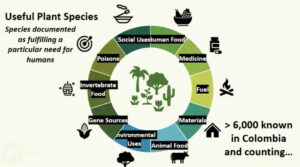 Meet our #plantscistory2021 storytellers: Laura Kor - The Global Plant ...