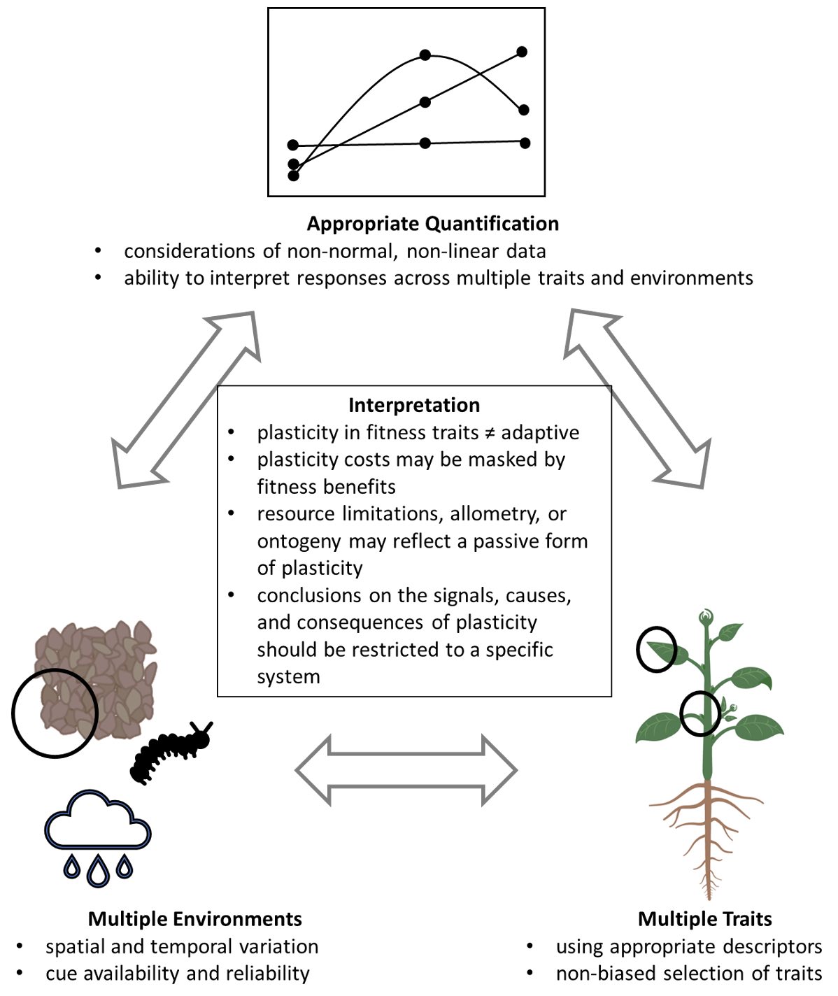Are “Plastic” Plants Our Future? Understanding and studying phenotypic ...